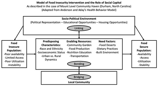The Local Food Environment and Food Security: The Health Behavior Role ...