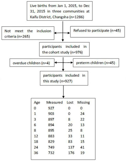 Differences between WHO Growth Standards and China Growth Standards in ...