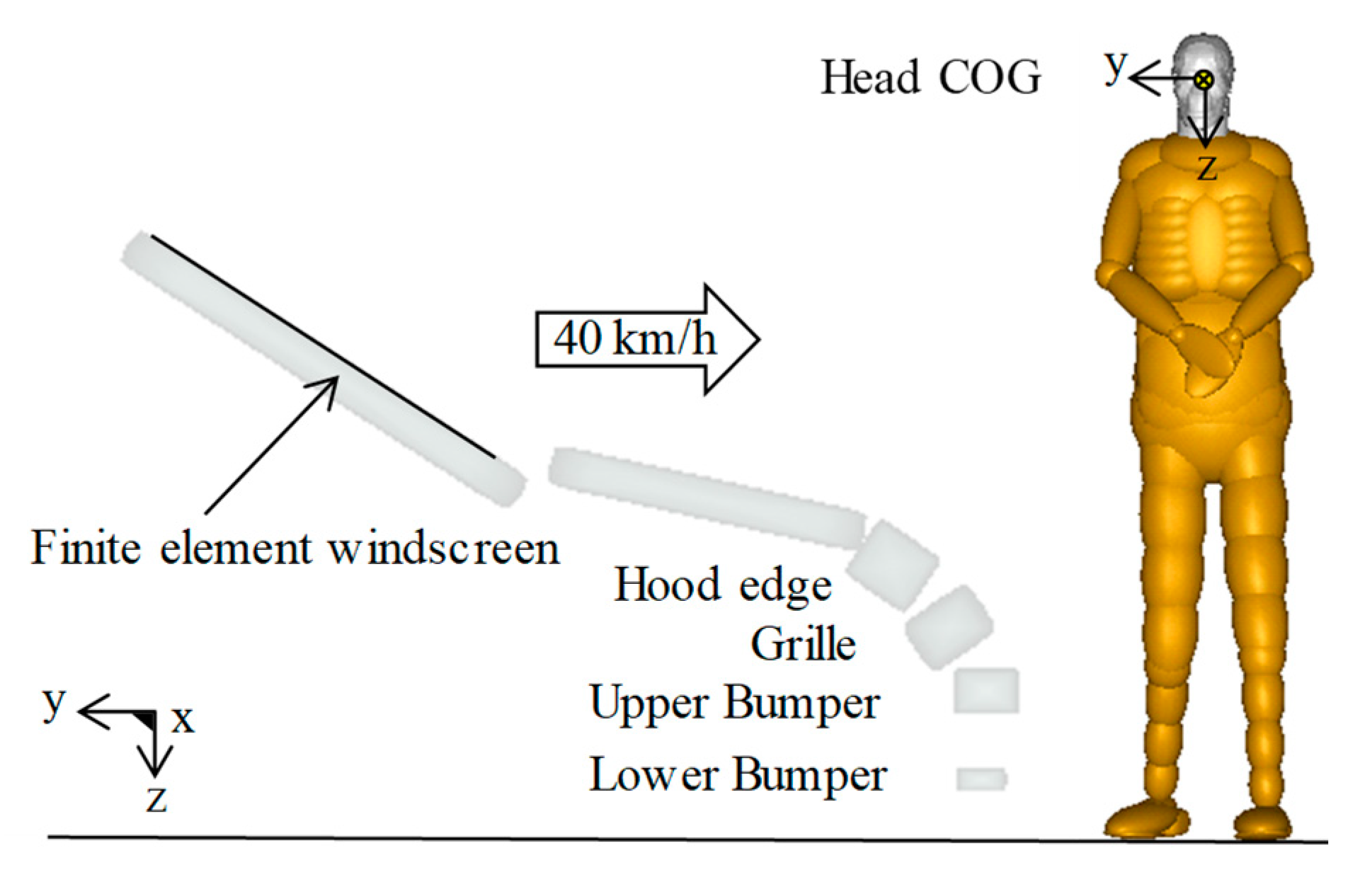 A Computational Biomechanics Human Body Model Coupling Finite Element ...