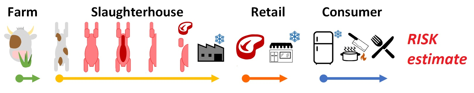 IJERPH | Free Full-Text | A Systematic Review of Beef Meat Quantitative ...