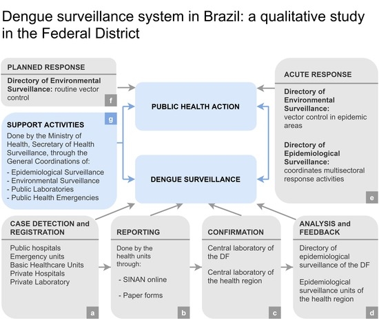 IJERPH | Free Full-Text | Dengue Surveillance System in Brazil: A ...