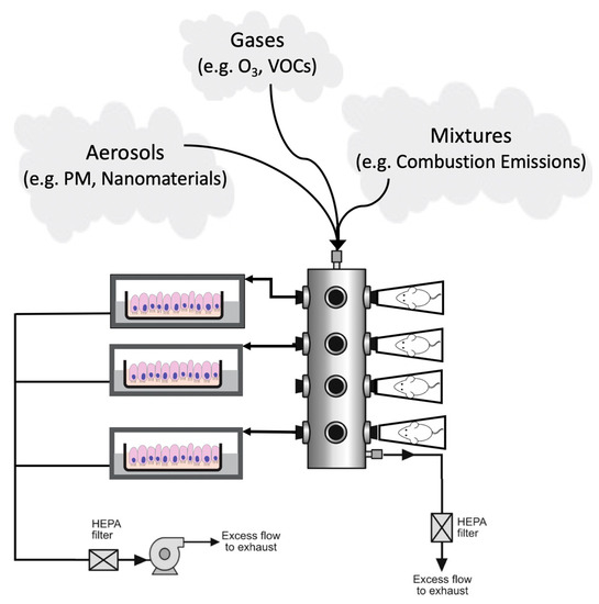 New Approach Methods to Evaluate Health Risks of Air Pollutants ...