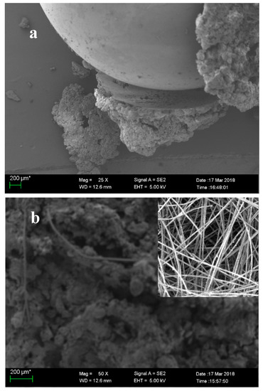 IJERPH | Free Full-Text | The BioChemical Clogging of Landfill Leachate ...