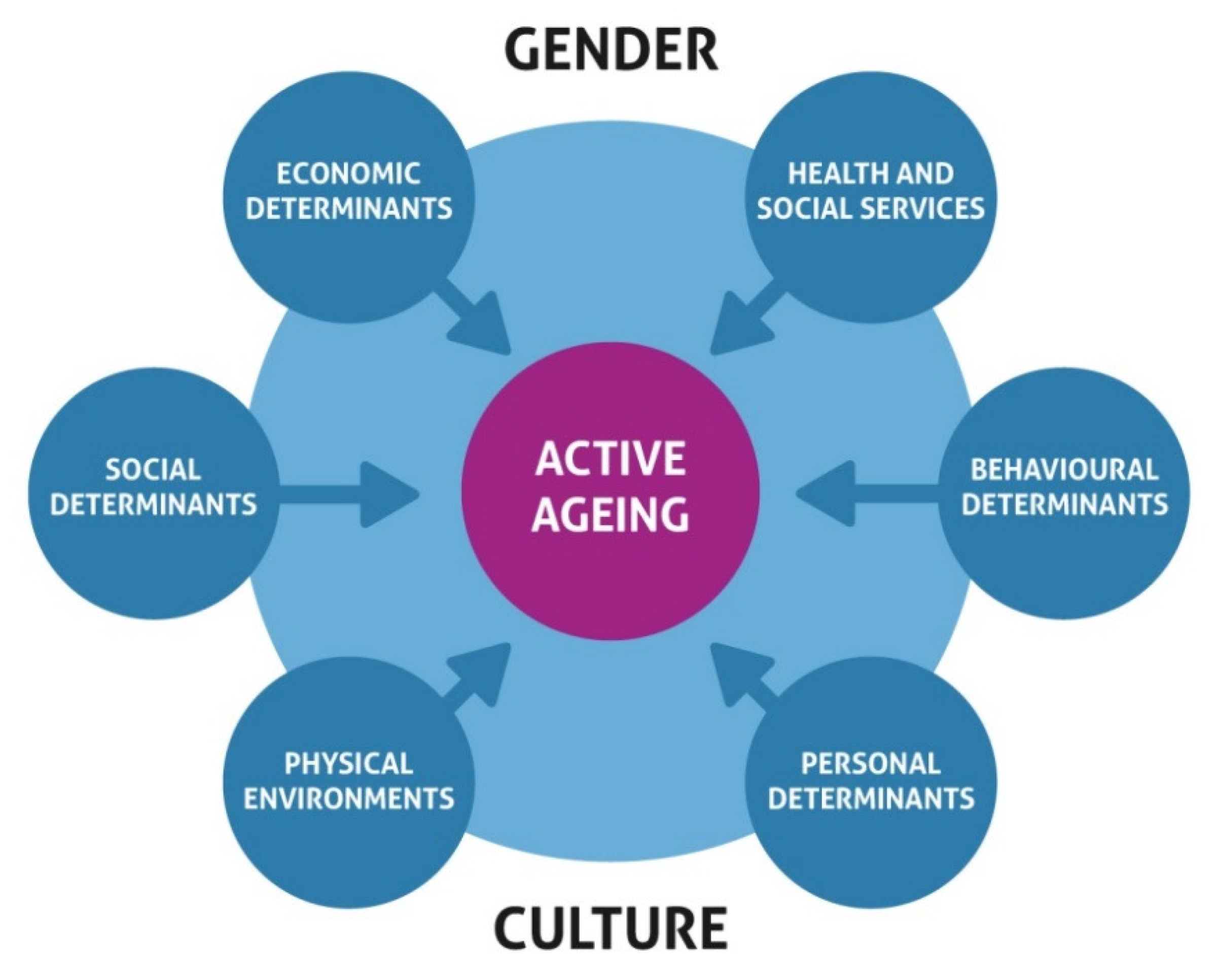 Ijerph Free Full Text Determinants Of Active And Healthy Ageing In