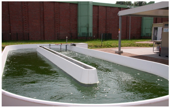 Bioplastic Production from Microalgae: A Review