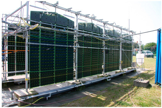 Bioplastic Production from Microalgae: A Review