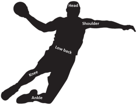 IJERPH | Free Full-Text | Injury Profile of Male and Female Senior and ...