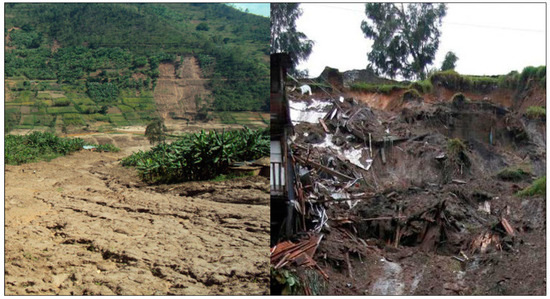 Rainfall-Induced Landslide Prediction Using Machine Learning Models ...