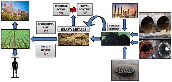 IJERPH | Free Full-Text | Identification of the Chemical Forms of Heavy Metals in Municipal ...