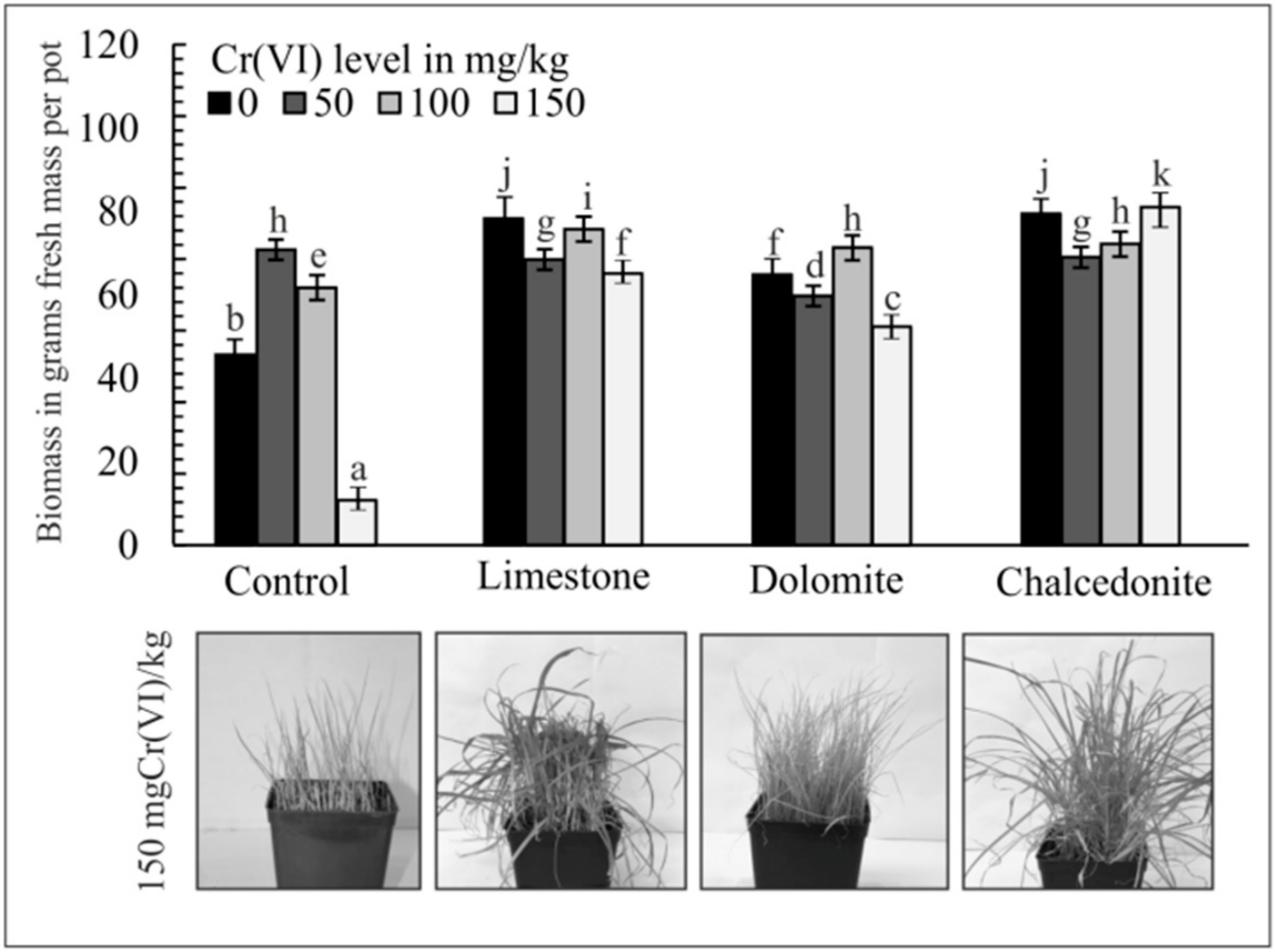 Successful Outcome of Phytostabilization in Cr(VI) Contaminated Soils ...