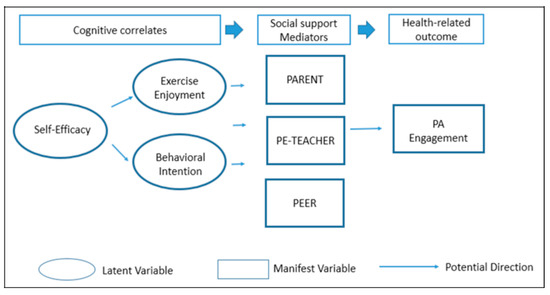 Social Cognitive Orientations, Social Support, and Physical Activity ...