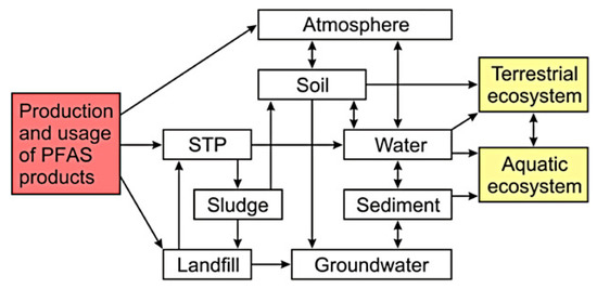 PFAS Environmental Pollution and Antioxidant Responses: An Overview of ...