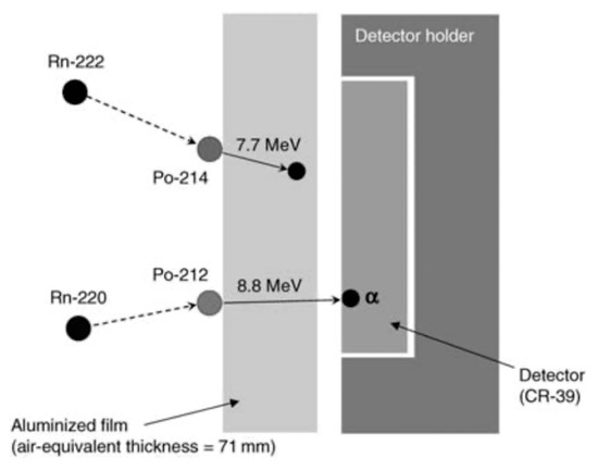 Characteristics of Thoron (220Rn) and Its Progeny in the Indoor Environment