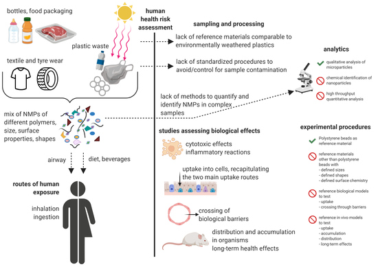 IJERPH | Free Full-Text | Assessment of Human Health Risks Posed by Nano-and Microplastics Is ...