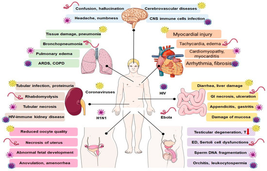 Viral Pandemics of the Last Four Decades: Pathophysiology, Health ...