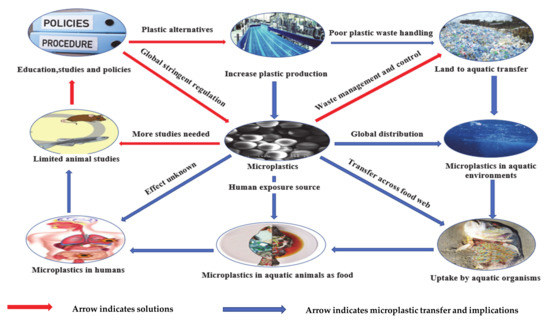 Microplastics Pollution as an Invisible Potential Threat to Food Safety ...