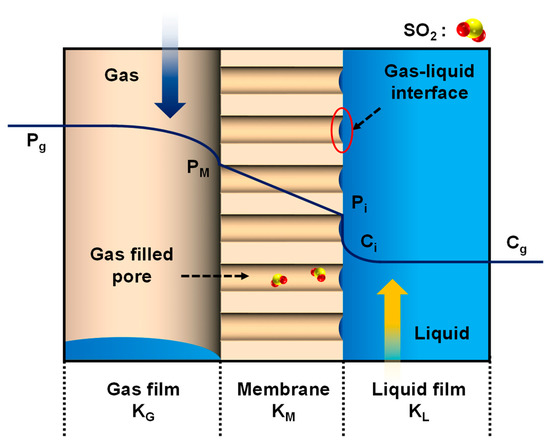 Selective Sulfur Dioxide Absorption from Simulated Flue Gas Using ...