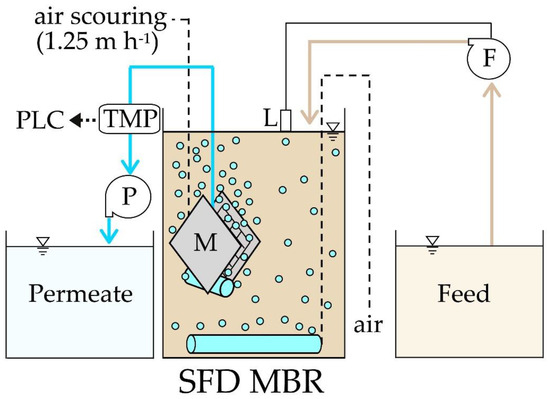 Role of Mesh Pore Size in Dynamic Membrane Bioreactors