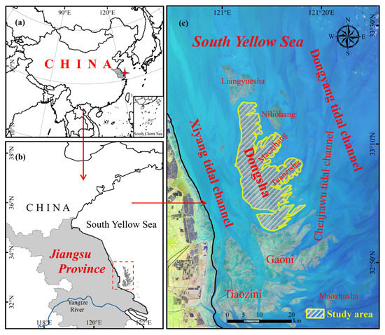 Recent Evolution of the Intertidal Sand Ridge Lines of the Dongsha ...