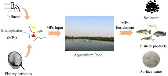 IJERPH | Free Full-Text | Microplastics Environmental Effect and Risk ...
