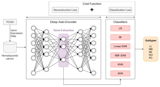 IJERPH | Free Full-Text | Deep Learning Feature Extraction Approach for ...