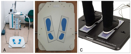 Review of the Upright Balance Assessment Based on the Force Plate