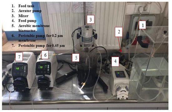 Biodegradation of Emerging Pharmaceuticals from Domestic Wastewater by ...