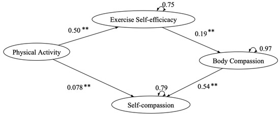 Examining the Exercise and Self-Esteem Model Revised with Self ...