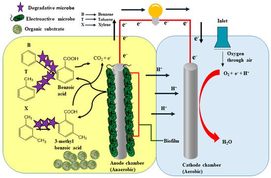 Advancement in Benthic Microbial Fuel Cells toward Sustainable ...