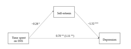 What Explains the Association between Usage of Social Networking Sites ...