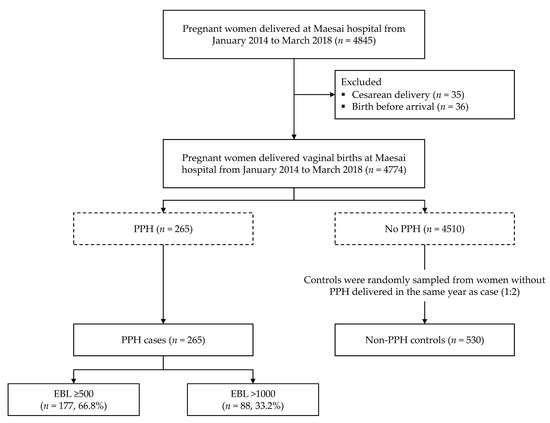 Risk Factors for Postpartum Hemorrhage in a Thai–Myanmar Border ...