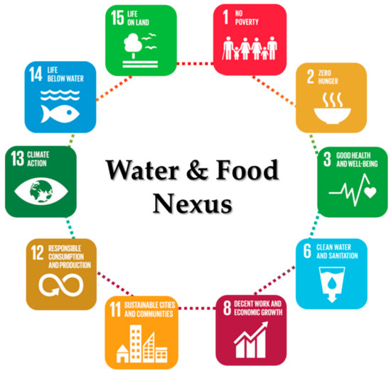 IJERPH | Free Full-Text | Water–Food Nexus Assessment in Agriculture: A ...