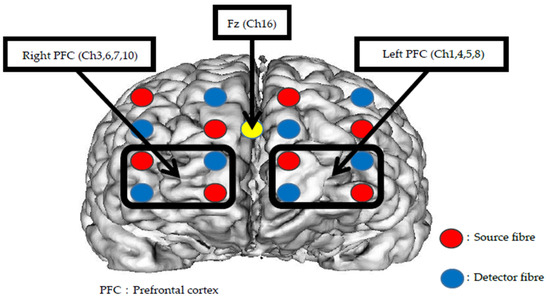 Ijerph Free Full Text Sex Differences In The Oxygenation Of The