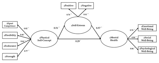 The Effect of Changes in Physical Self-Concept through Participation in ...