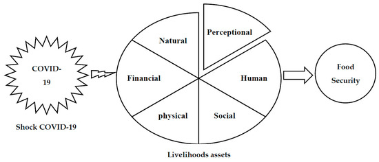 IJERPH | Free Full-Text | The Impact of Livelihood Assets on the Food ...