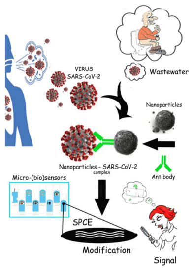 Wastewater-Based Epidemiology as an Early Warning System for the Spreading of SARS-CoV-2 and Its ...