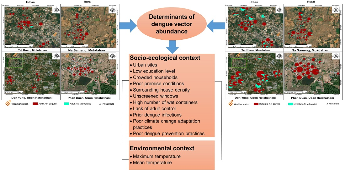 IJERPH | Free Full-Text | Ecological, Social, and Other Environmental ...