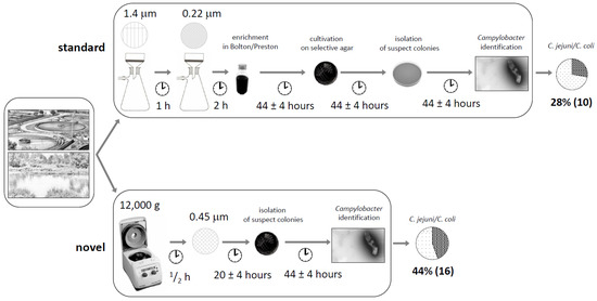 A Rapid Culture Method for the Detection of Campylobacter from Water ...