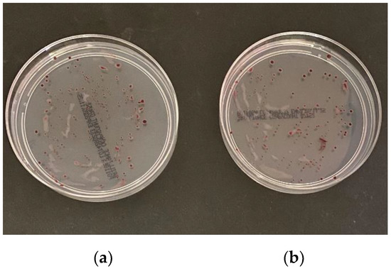 A Rapid Culture Method for the Detection of Campylobacter from Water ...
