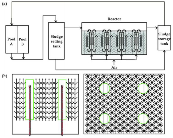 Pilot-Scale Airlift Bioreactor with Function-Enhanced Microbes for the ...