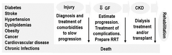 Population Kidney Health. A New Paradigm for Chronic Kidney Disease ...