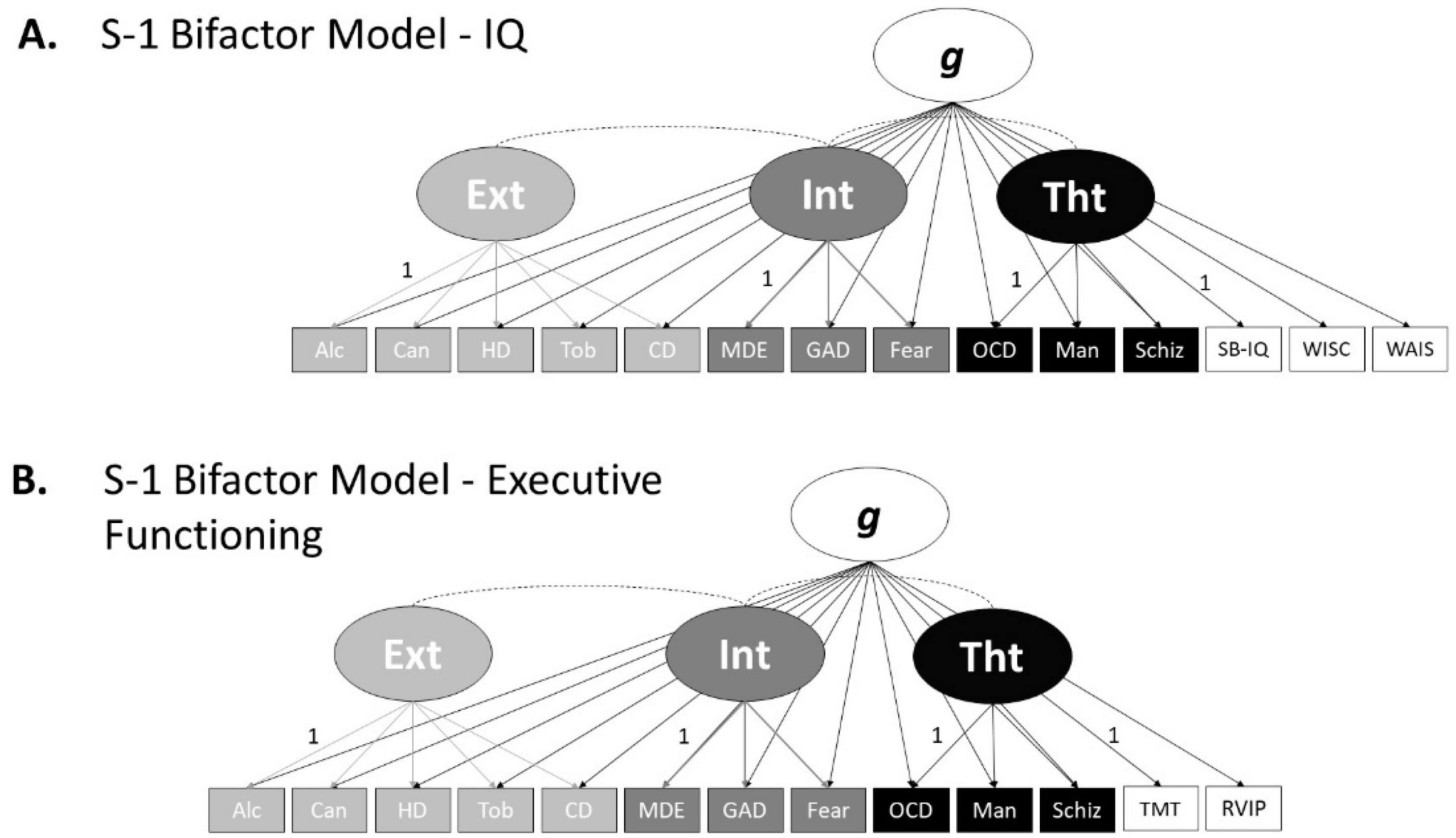 Going “Up” to Move Forward: S-1 Bifactor Models and the Study of Neurocognitive Abilities in ...