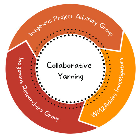 The Fabric of Aboriginal and Torres Strait Islander Wellbeing: A ...