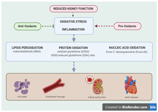 IJERPH | Special Issue : Chronic Kidney Disease: The Global Challenge