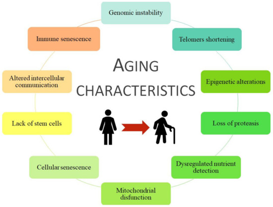 Premature Aging in Chronic Kidney Disease: The Outcome of Persistent ...