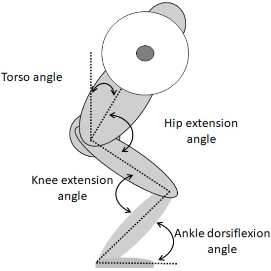 A Biomechanical Comparison of the Safety-Bar, High-Bar and Low-Bar ...