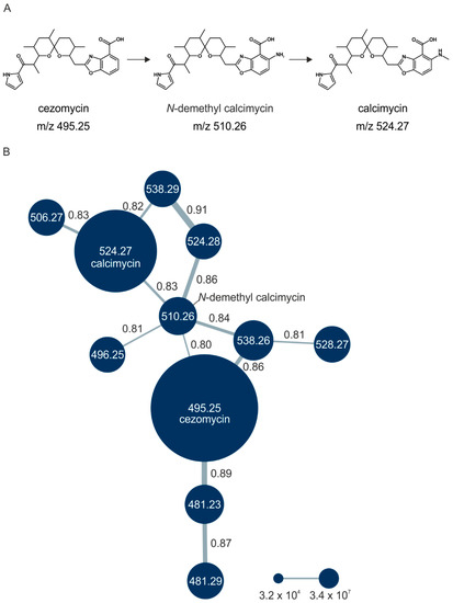 Influence of Amino Acid Feeding on Production of Calcimycin and Analogs ...