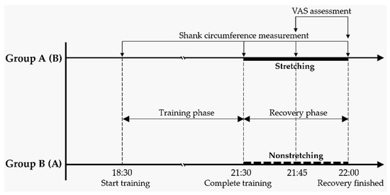 Exploring Shank Circumference by Stretching after Training among ...