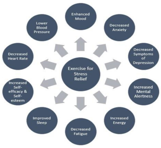 IJERPH | Free Full-Text | Chronic Stress, Exercise and Cardiovascular ...