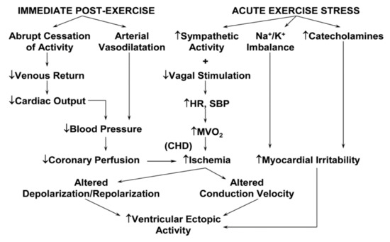Chronic Stress, Exercise and Cardiovascular Disease: Placing the ...